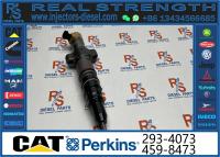 China Perkins original Perkins 293-4073 Diesel Fuel Injector for C9 C7 Engine E330D E336D E340D Excavator Replacement for OEM new injector original new injector for sale