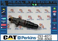 China Perkins original Perkins 293-4073 Diesel Fuel Injector for C9 C7 Engine E330D E336D E340D Excavator Replacement for OEM new injector original new injector for sale