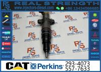 China Perkins original Perkins 293-4073 Diesel Fuel Injector for C9 C7 Engine E330D E336D E340D Excavator Replacement for OEM new injector original new injector for sale