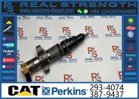 China Perkins original Perkins 293-4074 Replacement Fuel Injector for Diesel Engine Spare Parts new injector original new injector for sale