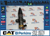 China Perkins original Perkins 293-4074 Replacement Fuel Injector for Diesel Engine Spare Parts new injector original new injector for sale