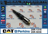 China Perkins original Perkins 20R-1318 Common Rail Diesel Injector for C9.3 Engine 336E 972K Excavator Replacement for OEM new injector original new injector for sale