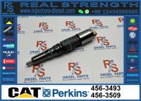 China Perkins original Perkins 456-3493 Common Rail Fuel Injector for C9.3 Diesel Engine 336E 966K Excavator Tractor Parts new injector original new injector for sale