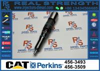 China Perkins original Perkins 456-3493 Common Rail Fuel Injector for C9.3 Diesel Engine 336E 966K Excavator Tractor Parts new injector original new injector for sale