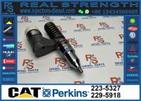 China Perkins original Perkins 223-5327 Common Rail Diesel Injector for C10 C12 3126E Engine Excavator Loader Replacement for OEM new injector original new injector for sale