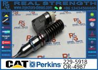 China Perkins original Perkins 229-5918 Diesel Engine Fuel Injector for C10 C12 Engine 345B 345C Excavator new injector original new injector for sale