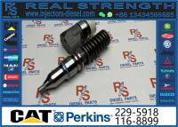 China Perkins original Perkins 229-5918 Diesel Engine Fuel Injector for C10 C12 Engine 345B 345C Excavator new injector original new injector for sale