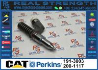 China Perkins original Fuel Injector for C15 C16 3406E Excavator Engine Spare Replacement 191-3003 10R-8501 10R-0956 10R-0957 0R-9257 244-7716 200-1117 211-3022 211-3023 original new injector for sale
