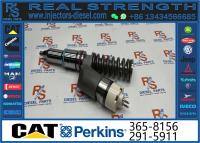 China Perkins original  C18 Diesel Engine Parts 365-8156 3658156 Fuel Common Rail Injector 295-9085 Replacement for Perkins Excavator Truck new injector original new injector for sale