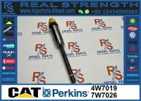 China Perkins original 4W7019 Diesel Common Rail Fuel Injector Assembly 3204 3208 3400 3412 D10N D9L D9N Tracked Bulldozer Replacement for OEM original new injector for sale