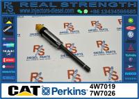 China Perkins original 4W7019 Diesel Common Rail Fuel Injector Assembly 3204 3208 3400 3412 D10N D9L D9N Tracked Bulldozer Replacement for OEM original new injector for sale
