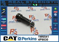 China Perkins original Perkins 1W6541 Diesel Fuel Engine Part Common Rail Plunger 4P-9830 4S5758 for 3204 3304 3306 Excavator new injector original new injector for sale