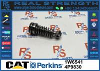 China Perkins original Perkins 1W6541 Diesel Fuel Engine Part Common Rail Plunger 4P-9830 4S5758 for 3204 3304 3306 Excavator new injector original new injector for sale