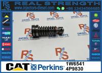 China Perkins original Perkins 1W6541 Diesel Fuel Engine Part Common Rail Plunger 4P-9830 4S5758 for 3204 3304 3306 Excavator new injector original new injector for sale