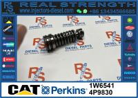 China Perkins original Perkins 1W6541 Diesel Fuel Engine Part Common Rail Plunger 4P-9830 4S5758 for 3204 3304 3306 Excavator new injector original new injector for sale