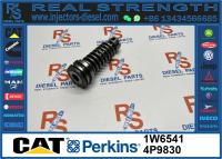 China Perkins original Perkins 1W6541 Diesel Fuel Engine Part Common Rail Plunger 4P-9830 4S5758 for 3204 3304 3306 Excavator new injector original new injector for sale