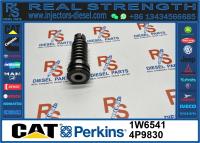 China Perkins original Perkins 1W6541 Diesel Fuel Engine Part Common Rail Plunger 4P-9830 4S5758 for 3204 3304 3306 Excavator new injector original new injector for sale