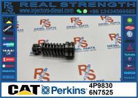China Perkins original Perkins 4P9830 Diesel Fuel Injection Pump Plunger Element for 3304 3306 Engine new injector original new injector for sale