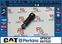 China Perkins original Perkins 4P9830 Diesel Fuel Injection Pump Plunger Element for 3304 3306 Engine new injector original new injector for sale