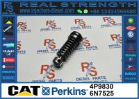 China Perkins original Perkins 4P9830 Diesel Fuel Injection Pump Plunger Element for 3304 3306 Engine new injector original new injector for sale