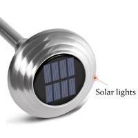 China Outdoor Solar LED Garden Lights Multicolor 80lm Brightest Solar Path Lights for sale