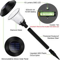 China Outdoor Solar LED Garden Lights Multicolor 80lm Brightest Solar Path Lights for sale
