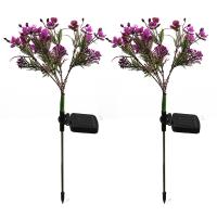 China Phalaenopsis Solar LED Garden Lights Small Wildflowers Landscape Garden Lawn Light for sale