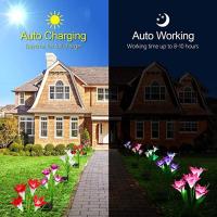 China RoHS Outdoor Solar Courtyard Light Waterproof Lily Lawn / Wedding Decoration Lights 2700K for sale