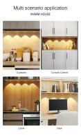 China 20cm 30cm 40cm 60cm Ultra Thin LED Light Wireless USB Rechargeable for sale