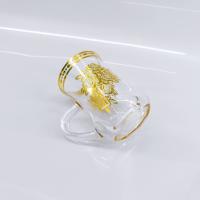 China 6PCS set Clear Glass Tea Cup Stylish Transparent Glass Tea Cups Set Designed for Tea Enjoyment Office Home and Restaurant for sale