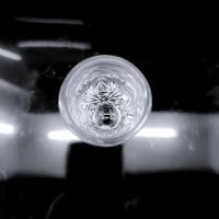 China 6 Pieces Glass Shot Cups Classic Cylindrical Transparent Glassware For Bars Restaurants for sale