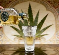 China Height 86cm Whiskey Glass Cups 55ml Cocktail Shot Glass Cups With Smooth Rim for sale