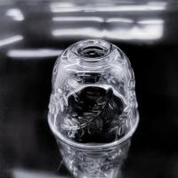 China 6PCS 65ML Transparent Espresso Coffee Cups Set For Daily In Cafes / Homes for sale