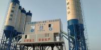 China Ready Mix Hzs60 Concrete Batching Plant with 30m Belt Conveyor for sale