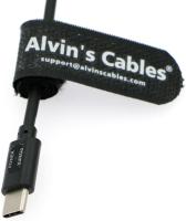 China Alvin's Cables PD USB-C To Decoding NP-W126 Dummy Battery Coiled Power Cable For Fujifilm Fuji XT1 X-T10 XT2 X-T20 XT3 X for sale