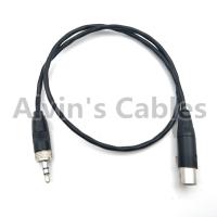 China SONY D11 Camera Audio Cable 3.5mm TRS Audio Plug Conversion locking 3.5mm TRS Audio Plug To 3 Pin MINI XLR female for sale