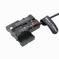 China Alvin's Cables D-Tap To Dual-Sided Cross-Shaped NP-F Dummy Battery With USB-C PD Power Cable For Atomos Small HD Monitor for sale