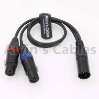 China Dual Track Audio Arri Power Cable XLR 5 Pin Male To 2 XLRs 3 Pin Female for sale