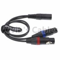 China Dual Track Audio Arri Power Cable XLR 5 Pin Male To 2 XLRs 3 Pin Female for sale
