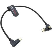 China Alvin's Locking USB C Cable for Blackmagic 4K G2 12in 10Gbps for sale