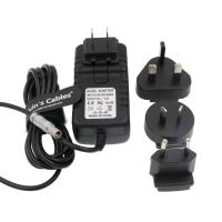 China FFA 0S 304 4 Pin To Universal AC Z Cam E2 Power Adapter Cable for sale