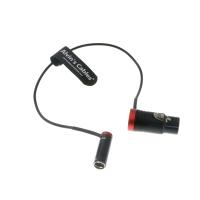 China L Shaped 3 Pin Mini XLR Male To XLR Female Audio Cable For BMPCC 4K 6K Camera for sale