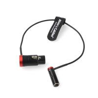 China L Shaped 3 Pin Mini XLR Male To XLR Female Audio Cable For BMPCC 4K 6K Camera for sale