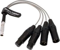 China Alvin's Cables Breakout Audio Input Output Cable For Atomos Shogun Monitor Recorder 10 Pin Male To 4 XLR 3 Pin for sale
