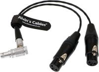 China XLR Breakout Audio Input Cable For Atomos Shogun Monitor Recorder Right Angle 10 Pin To Dual XLR 3 Pin Female for sale