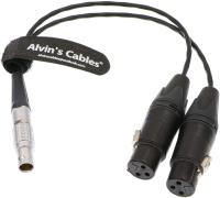 China Alvin's Cables XLR Breakout Audio Input Cable For Atomos Shogun Monitor Recorder 10 Pin To Dual XLR 3 Pin Female for sale