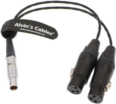 China Alvin's Cables XLR Breakout Audio Input Cable For Atomos Shogun Monitor Recorder 10 Pin To Dual XLR 3 Pin Female for sale