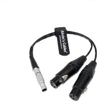 China Alvin's Cables XLR Breakout Audio Input Cable For Atomos Shogun Monitor Recorder 10 Pin To Dual XLR 3 Pin Female for sale