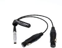 China Alvin's Cables XLR Breakout Audio Input Cable For Atomos Shogun Monitor Recorder 10 Pin To Dual XLR 3 Pin Female for sale