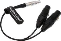 China Alvin's Cables XLR Breakout Audio Input Cable For Atomos Shogun Monitor Recorder 10 Pin To Dual XLR 3 Pin Female for sale